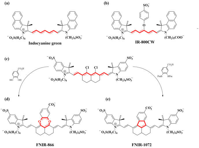 Real-Time, Multicolor Fluorescence Imaging of Tumors in Tissues ...